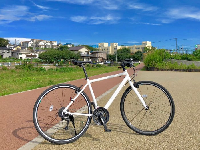 cross_bottom_2018_2019 – CyclingEX CLASSIC